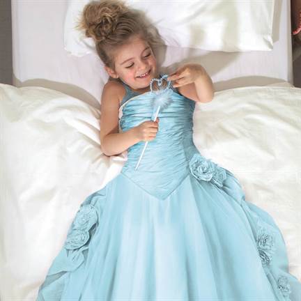 SNURK Princess dekbedovertrek - prinsessenjurk blauw - Smulderstextiel.be